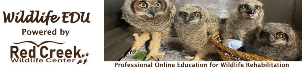Telephone Skills – Handling Wildlife Emergency Calls